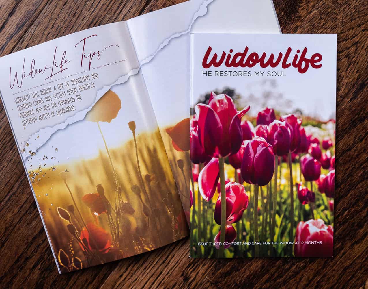 Widow Support | Perspective Ministries