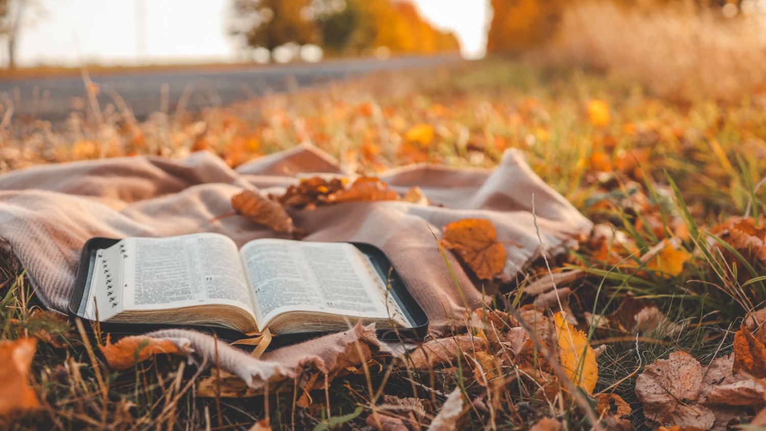 Prayer for the Widow in the Fall Season | Perspective Ministries